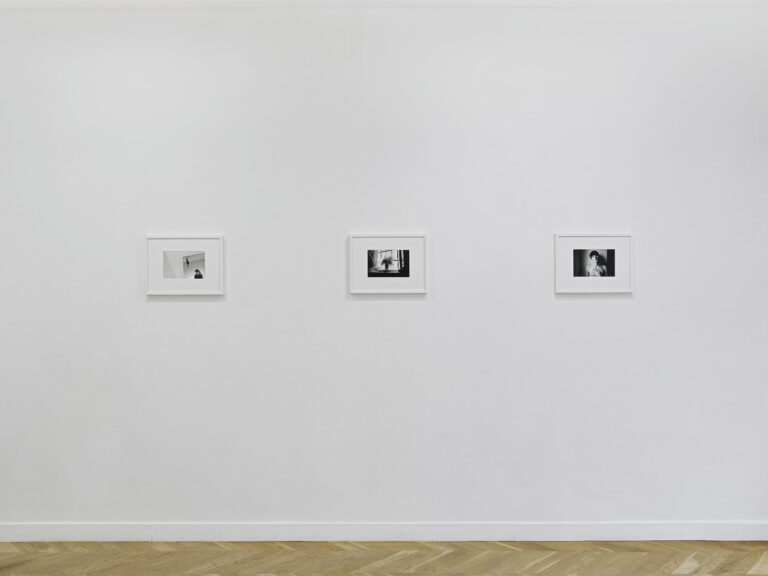 Hervé Guibert and David Wojnarowicz at Fitzpatrick Gallery – Art Viewer