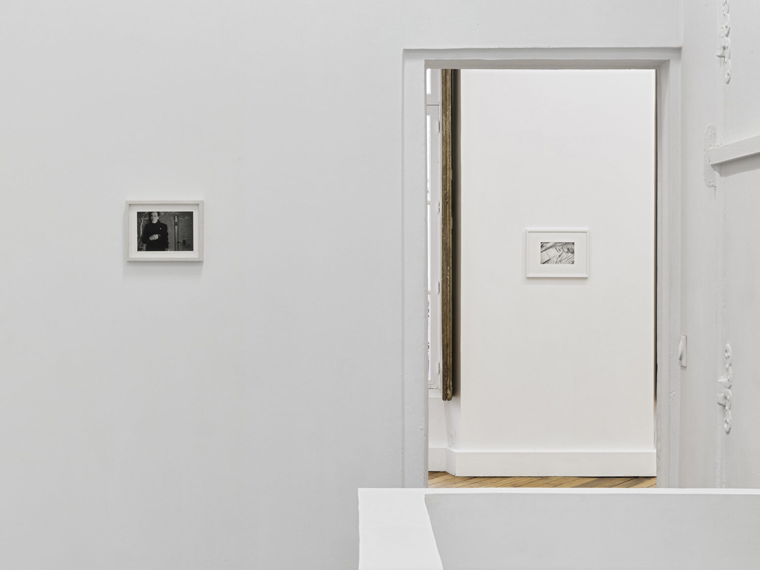 Hervé Guibert and David Wojnarowicz at Fitzpatrick Gallery – Art Viewer