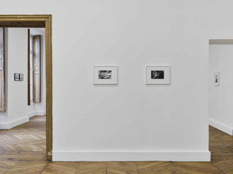 Hervé Guibert and David Wojnarowicz at Fitzpatrick Gallery – Art Viewer