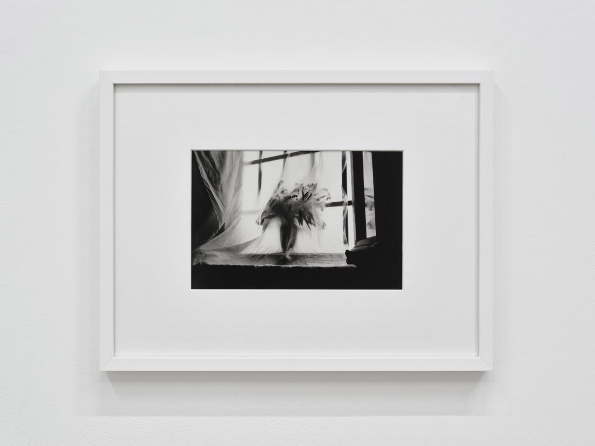 Hervé Guibert and David Wojnarowicz at Fitzpatrick Gallery – Art Viewer