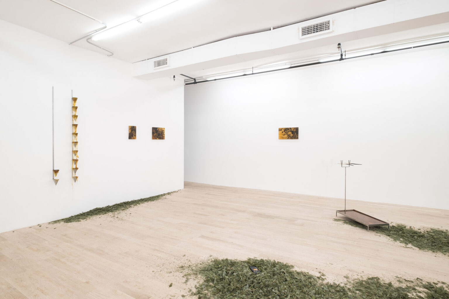 Jura Shust at Management – Art Viewer