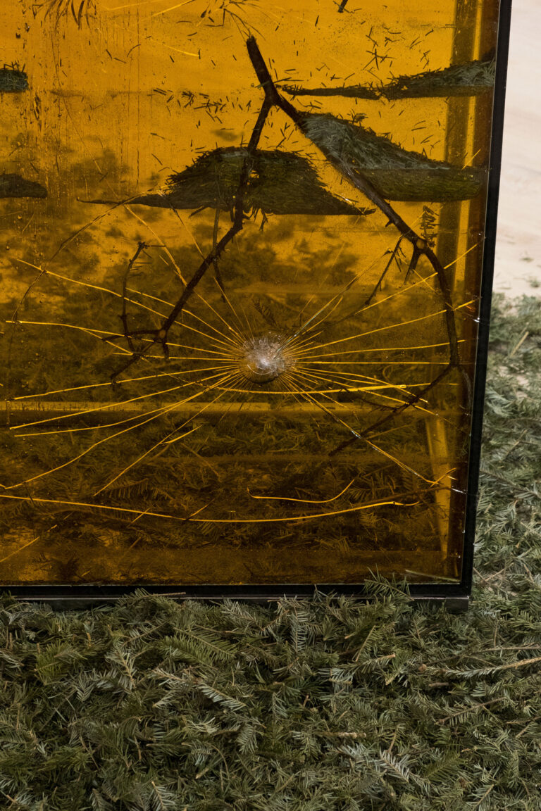 Jura Shust at Management – Art Viewer
