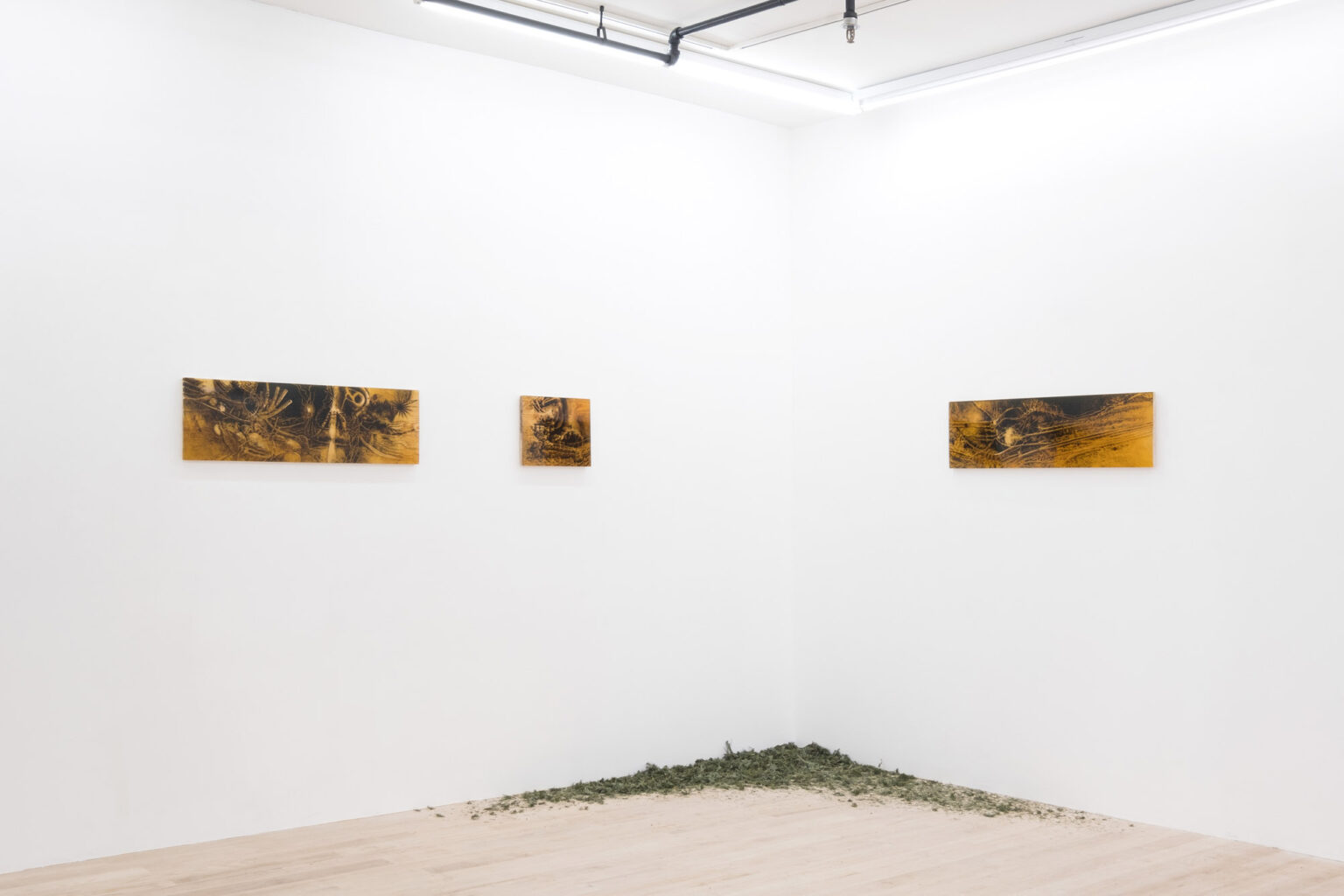 Jura Shust at Management – Art Viewer