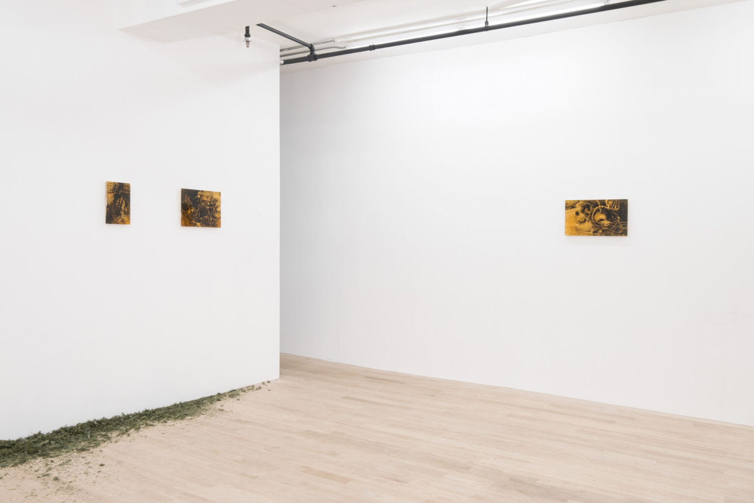 Jura Shust at Management – Art Viewer
