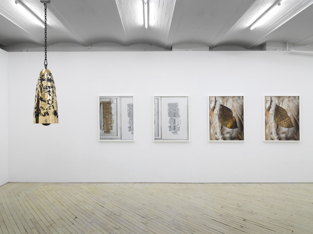 Throughline at Bureau – Art Viewer