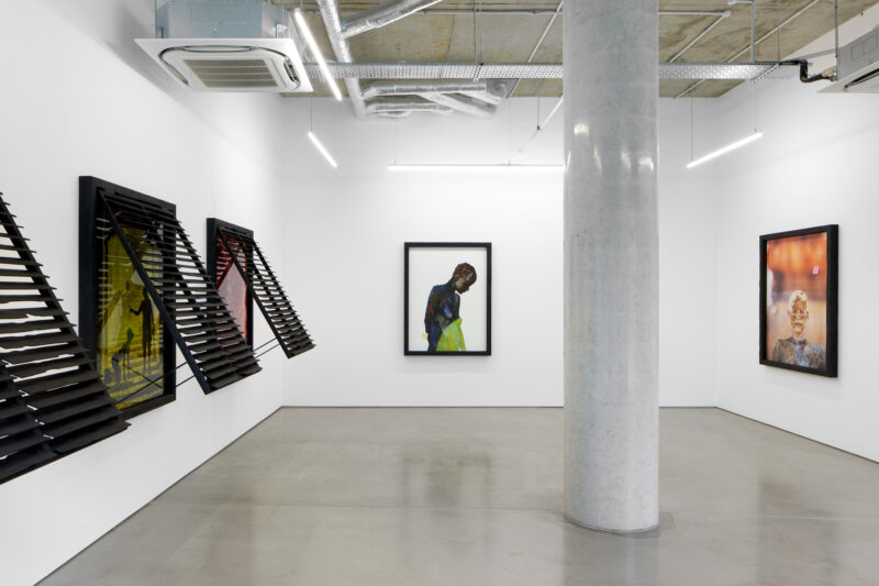 DIS at Project Native Informant – Art Viewer