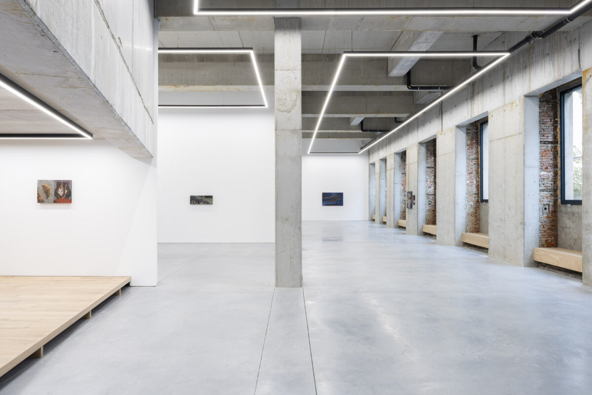 Jack Jubb at Stems Gallery – Art Viewer