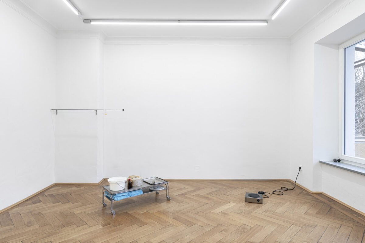 Laura Ní Fhlaibhín at Galerie Britta Rettberg – Art Viewer