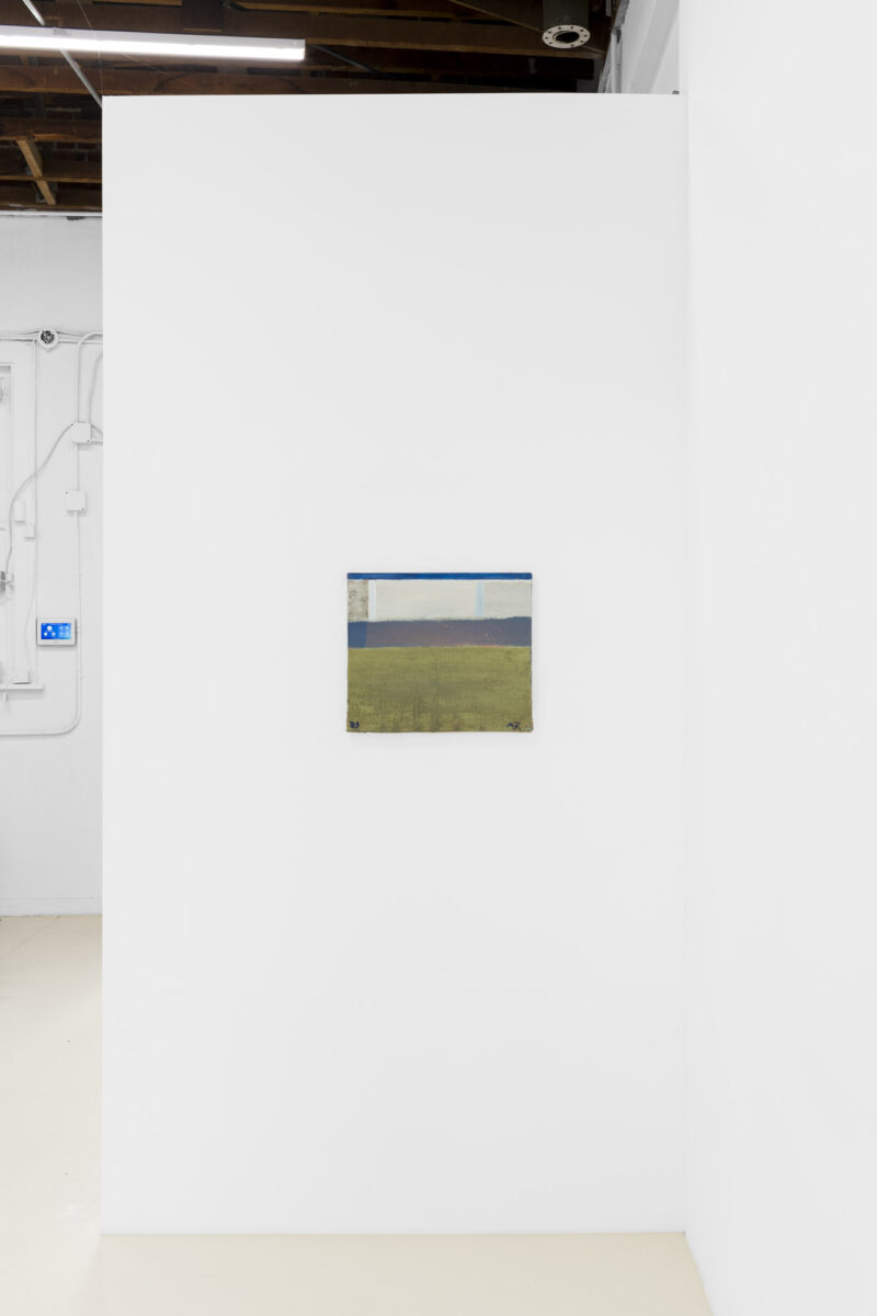 Merlin James at Chris Sharp Gallery – Art Viewer