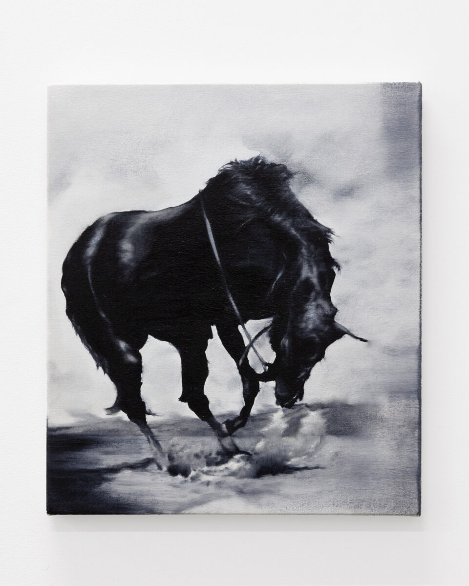 Michael Thompson at Franz Kaka – Art Viewer