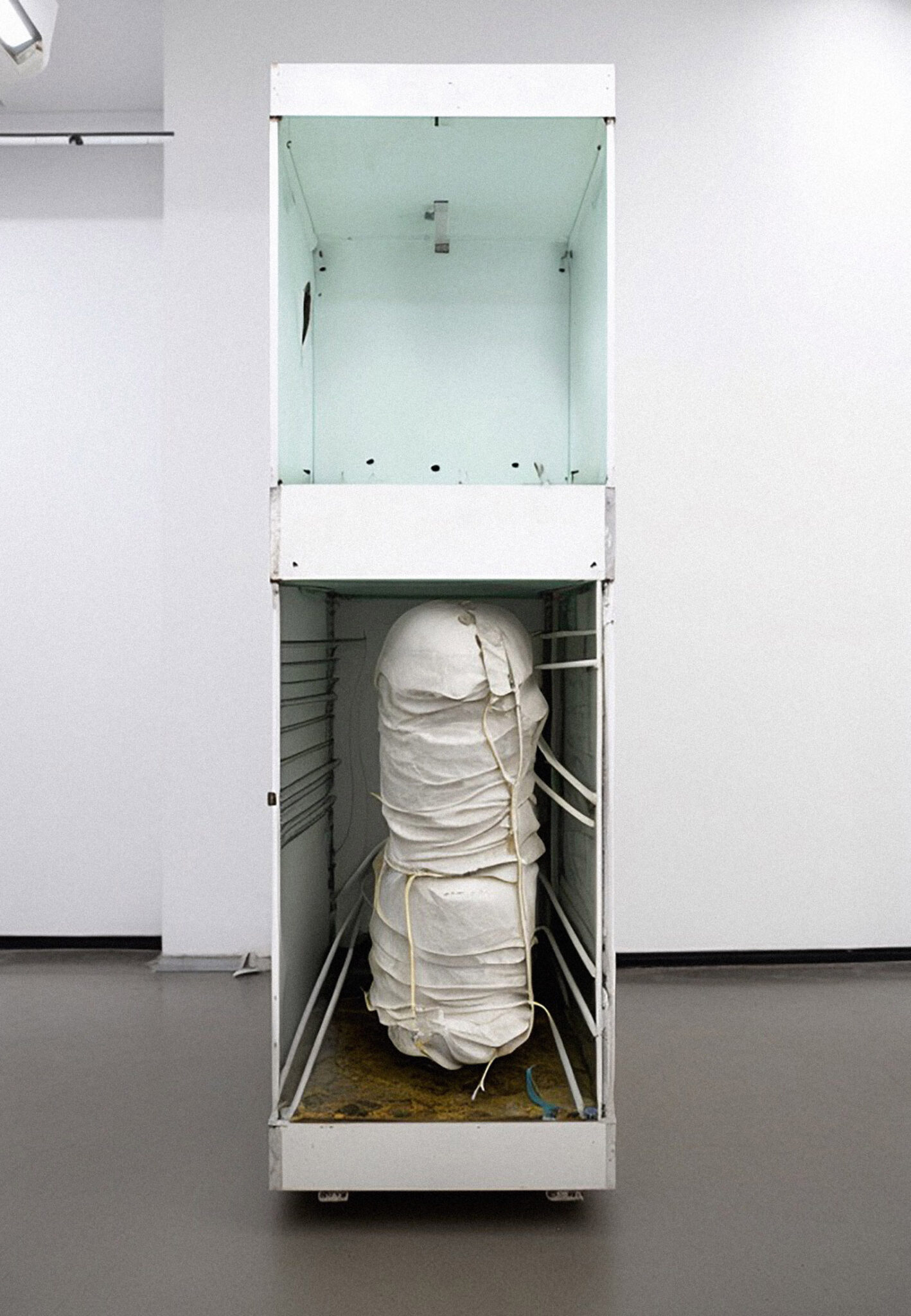 Nicolás Lamas at FORM Space – Art Viewer