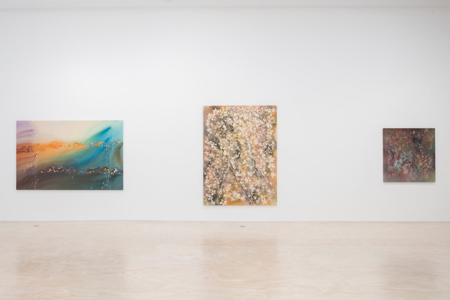 Sam Falls at Jessica Silverman – Art Viewer