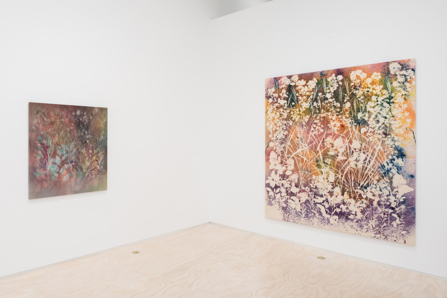 Sam Falls at Jessica Silverman – Art Viewer