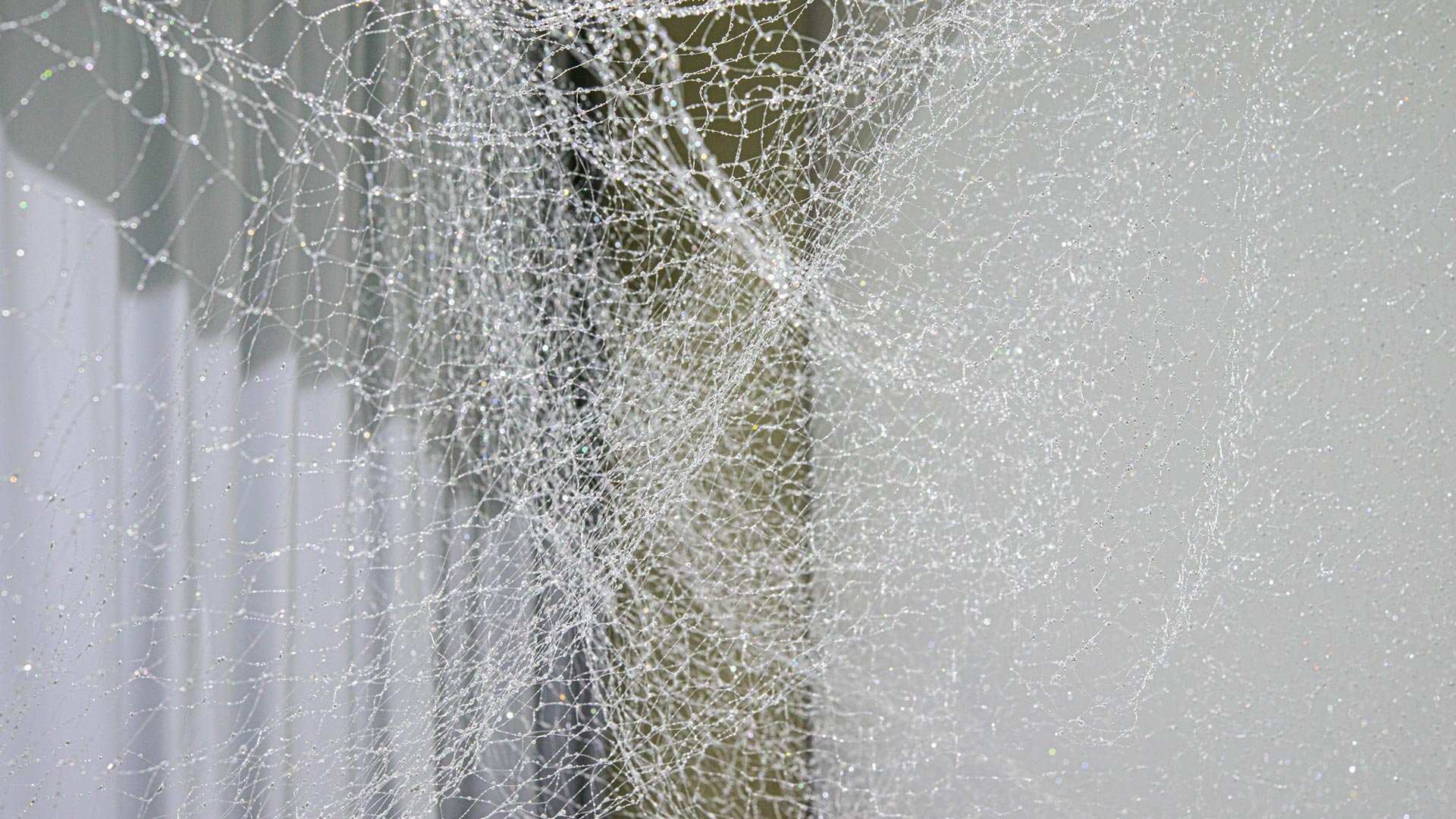 This Is One Landscape, Divided at Billytown – Art Viewer