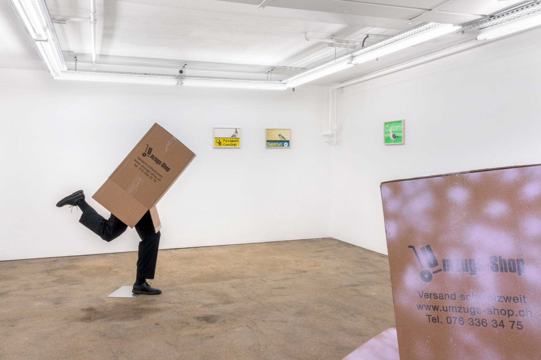 Adam Cruces at Public Gallery – Art Viewer