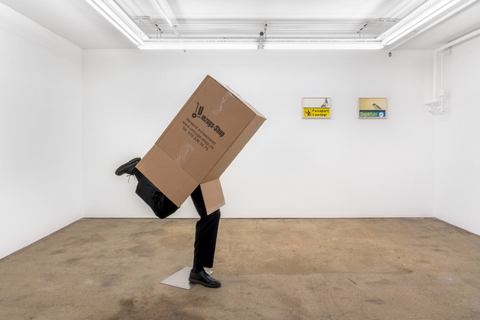 Adam Cruces at Public Gallery – Art Viewer