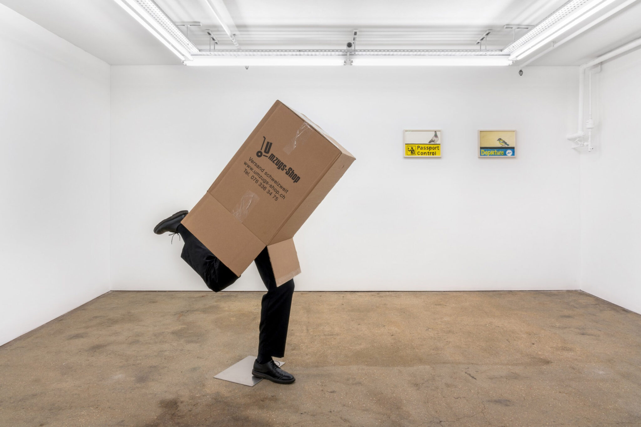 Adam Cruces at Public Gallery – Art Viewer