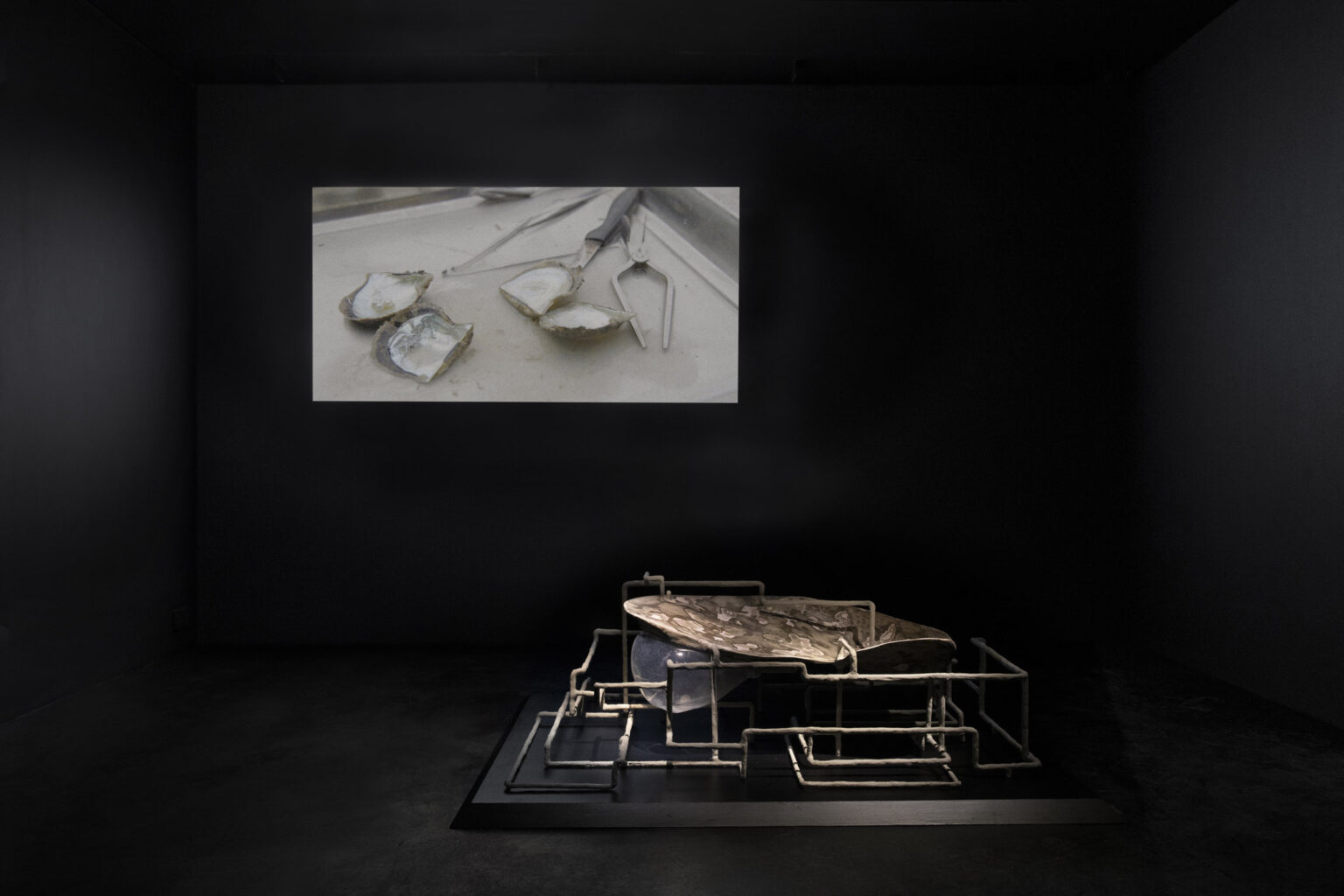 Jes Fan at Empty Gallery – Art Viewer