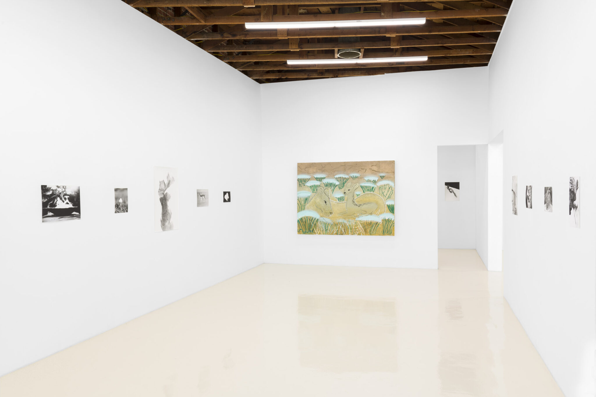 Jochen Lempert and Lin May Saeed at Chris Sharp Gallery – Art Viewer