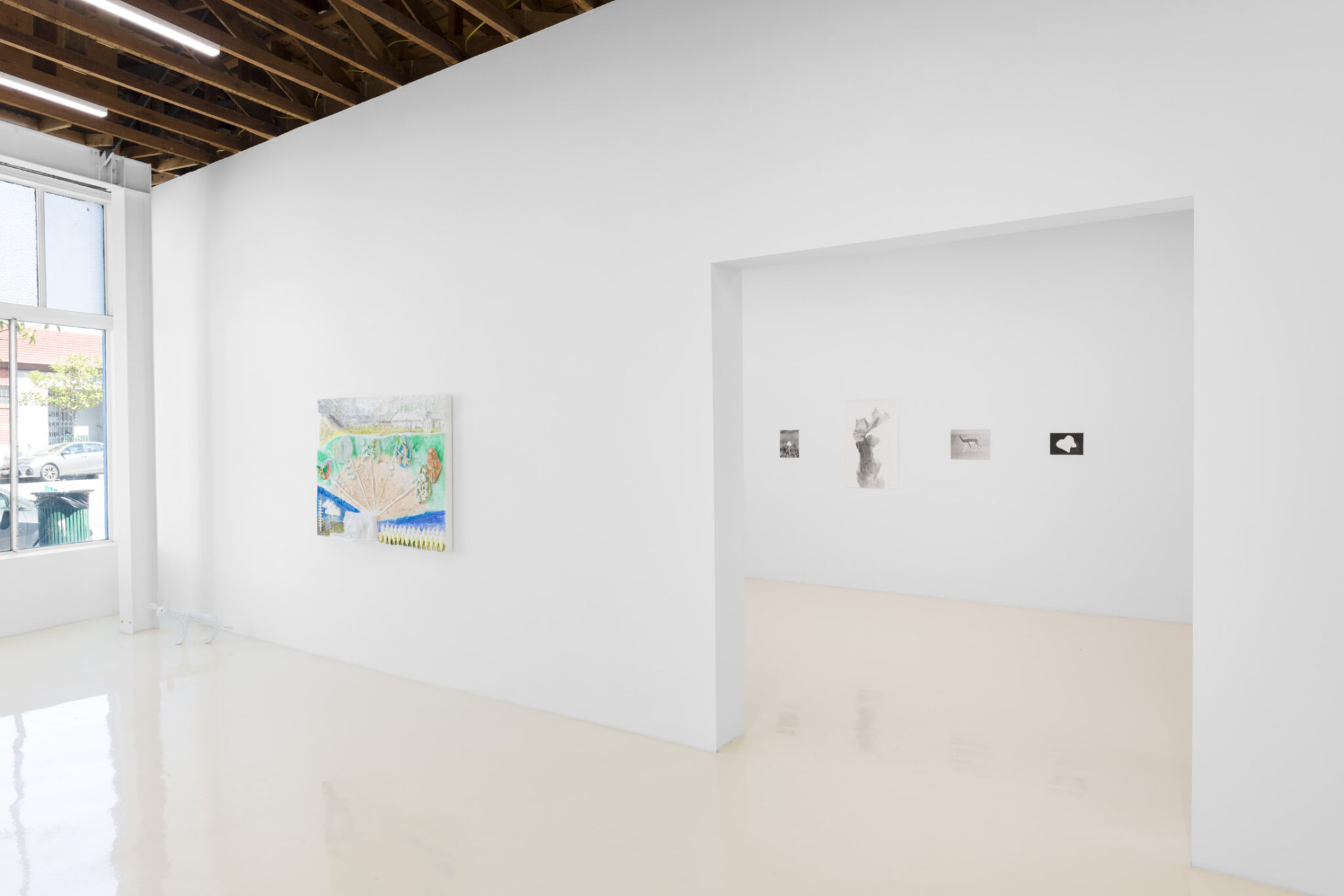 Jochen Lempert and Lin May Saeed at Chris Sharp Gallery – Art Viewer