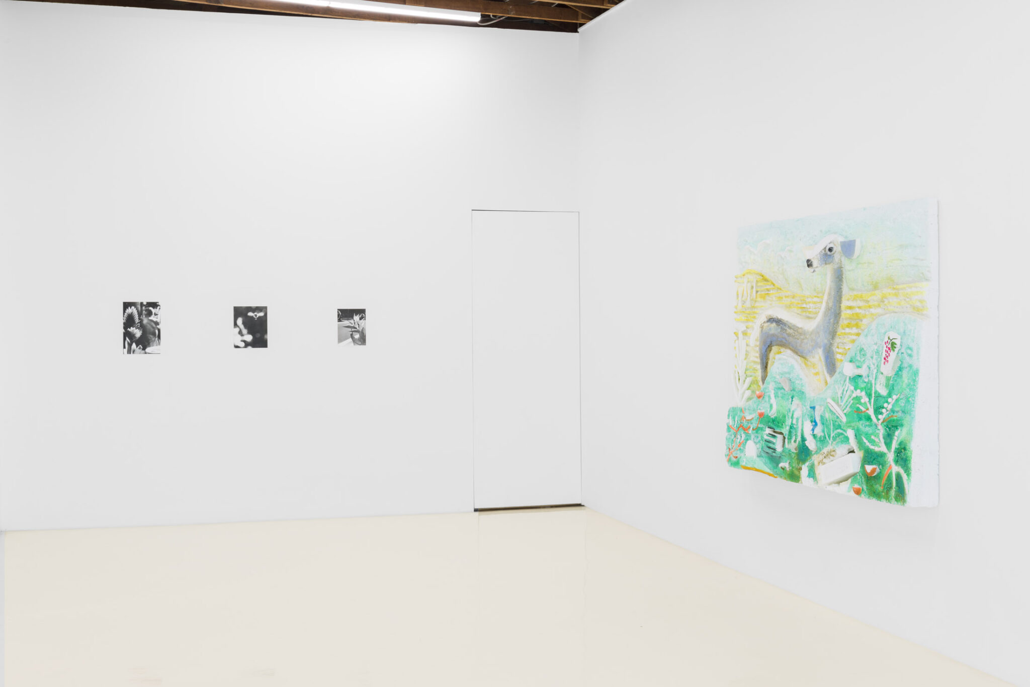 Jochen Lempert and Lin May Saeed at Chris Sharp Gallery – Art Viewer