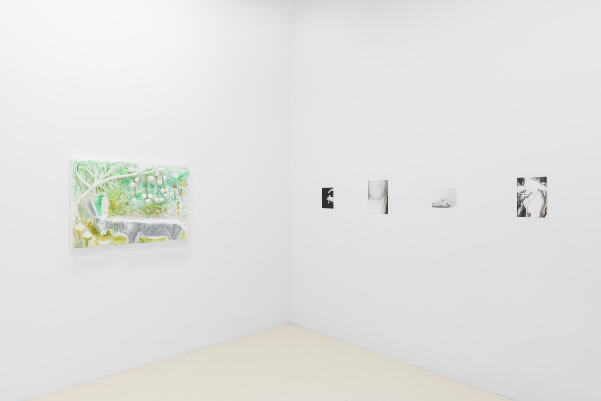 Jochen Lempert and Lin May Saeed at Chris Sharp Gallery – Art Viewer