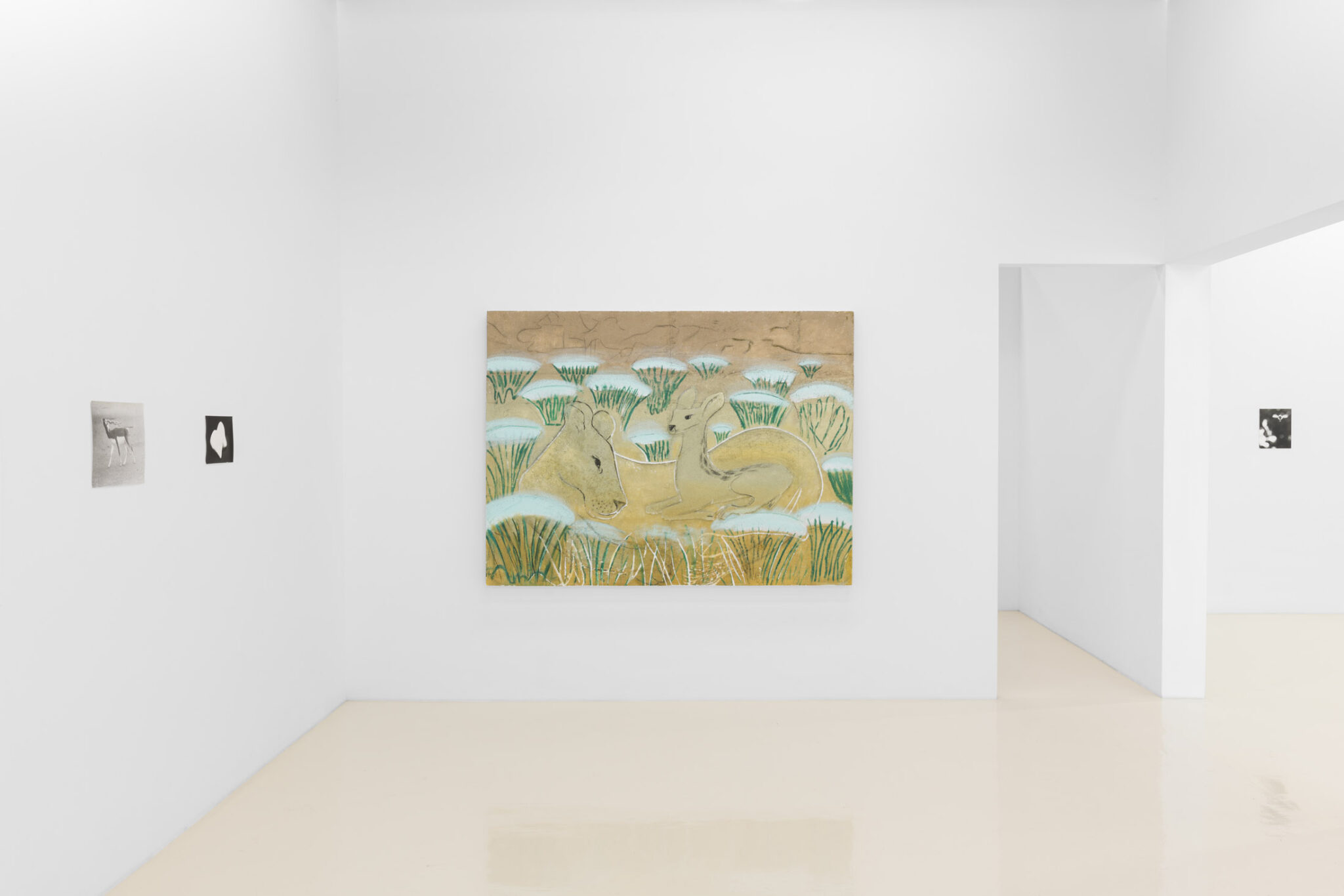 Jochen Lempert and Lin May Saeed at Chris Sharp Gallery – Art Viewer