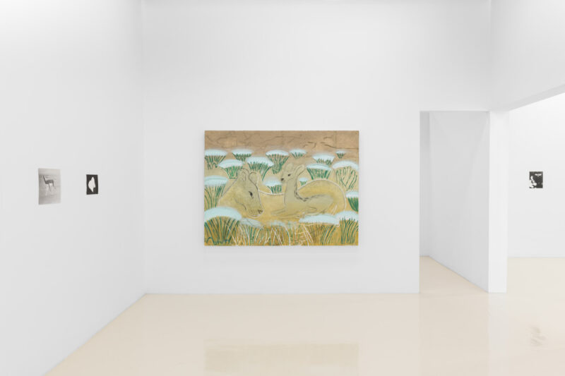 Jochen Lempert and Lin May Saeed at Chris Sharp Gallery – Art Viewer