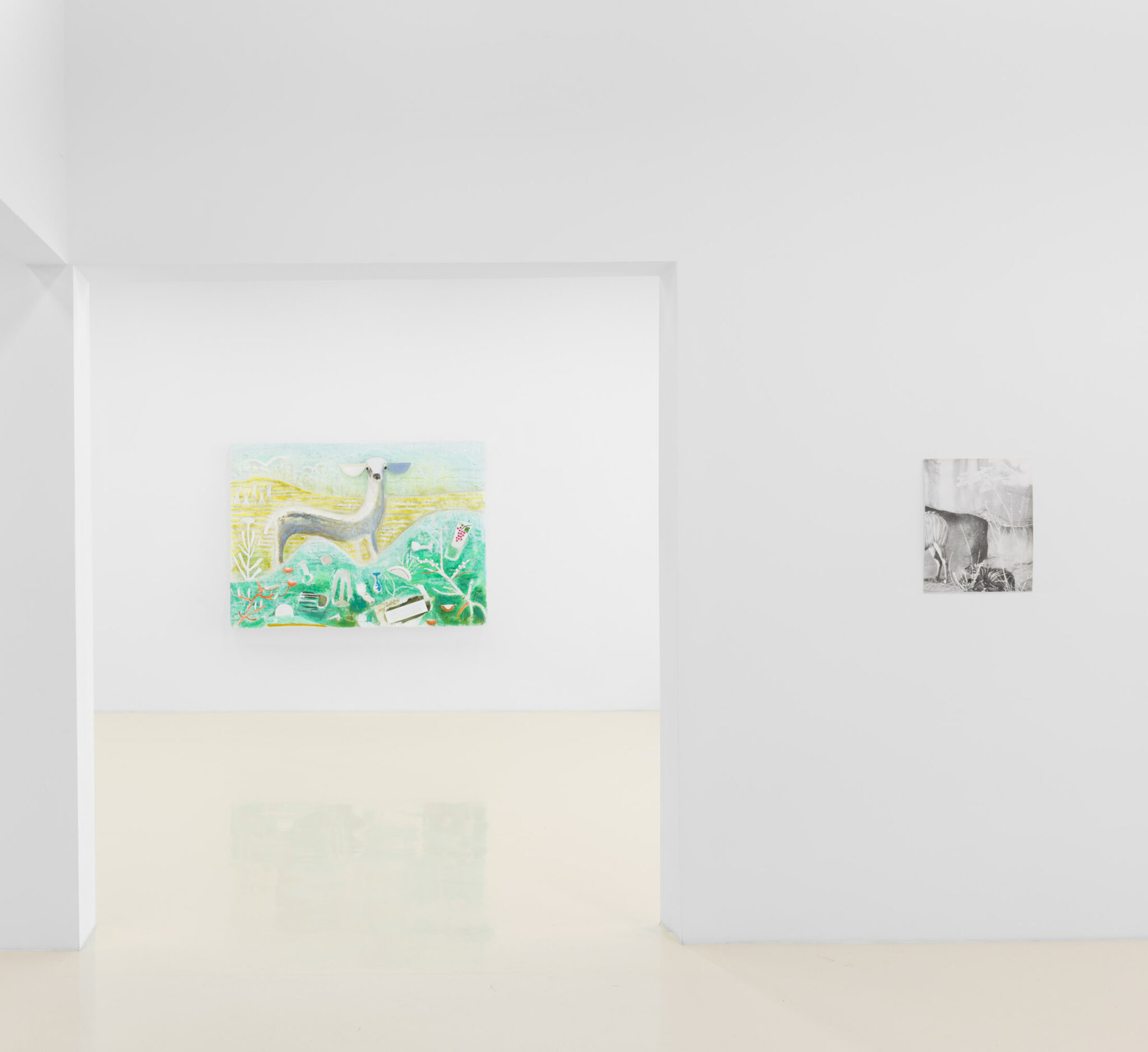 Jochen Lempert and Lin May Saeed at Chris Sharp Gallery – Art Viewer
