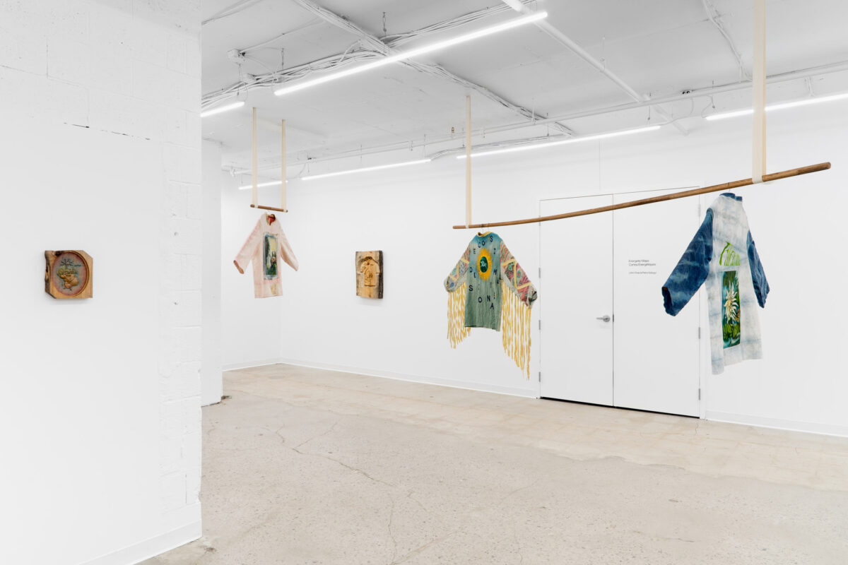 John Chae and Petra Szilagyi at TAP Art Space – Art Viewer