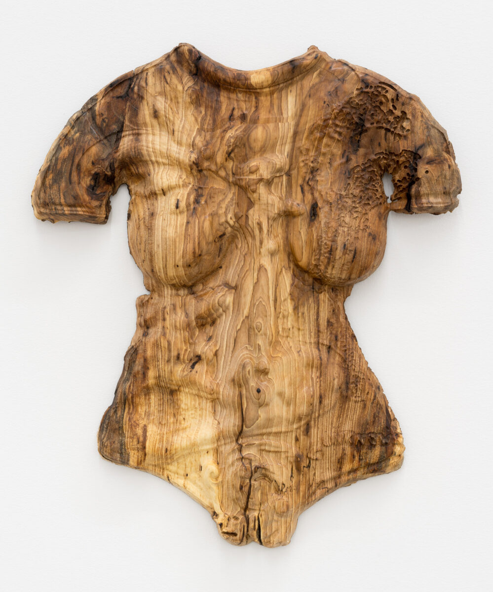 John Chae and Petra Szilagyi at TAP Art Space – Art Viewer