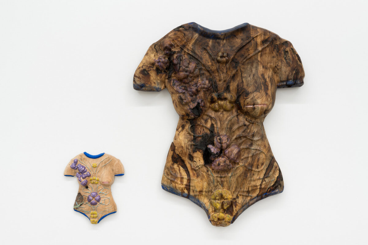 John Chae and Petra Szilagyi at TAP Art Space – Art Viewer