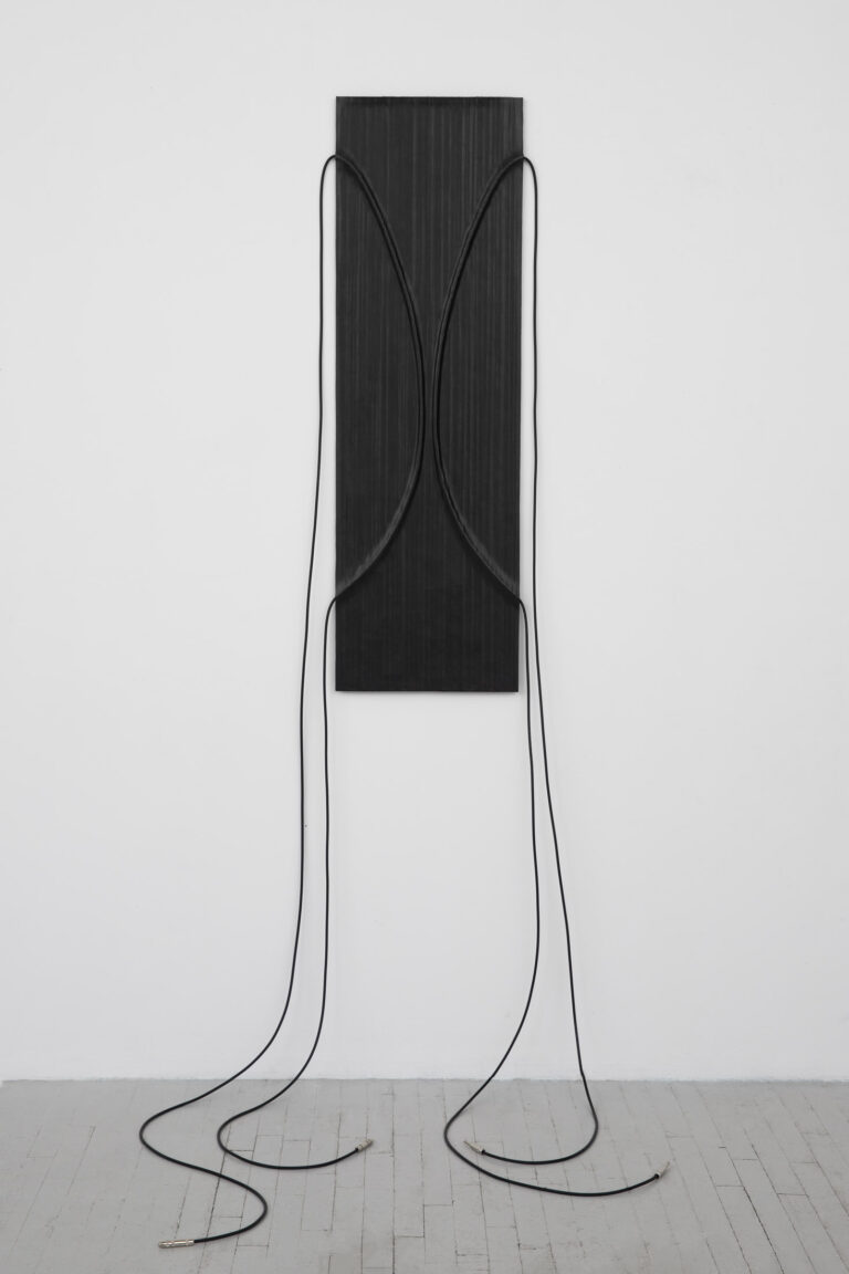Naama Tsabar at Dvir Gallery – Art Viewer