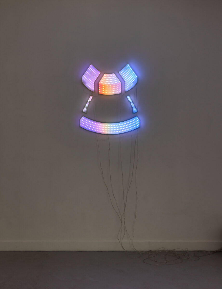 Nile Koetting at Parliament – Art Viewer