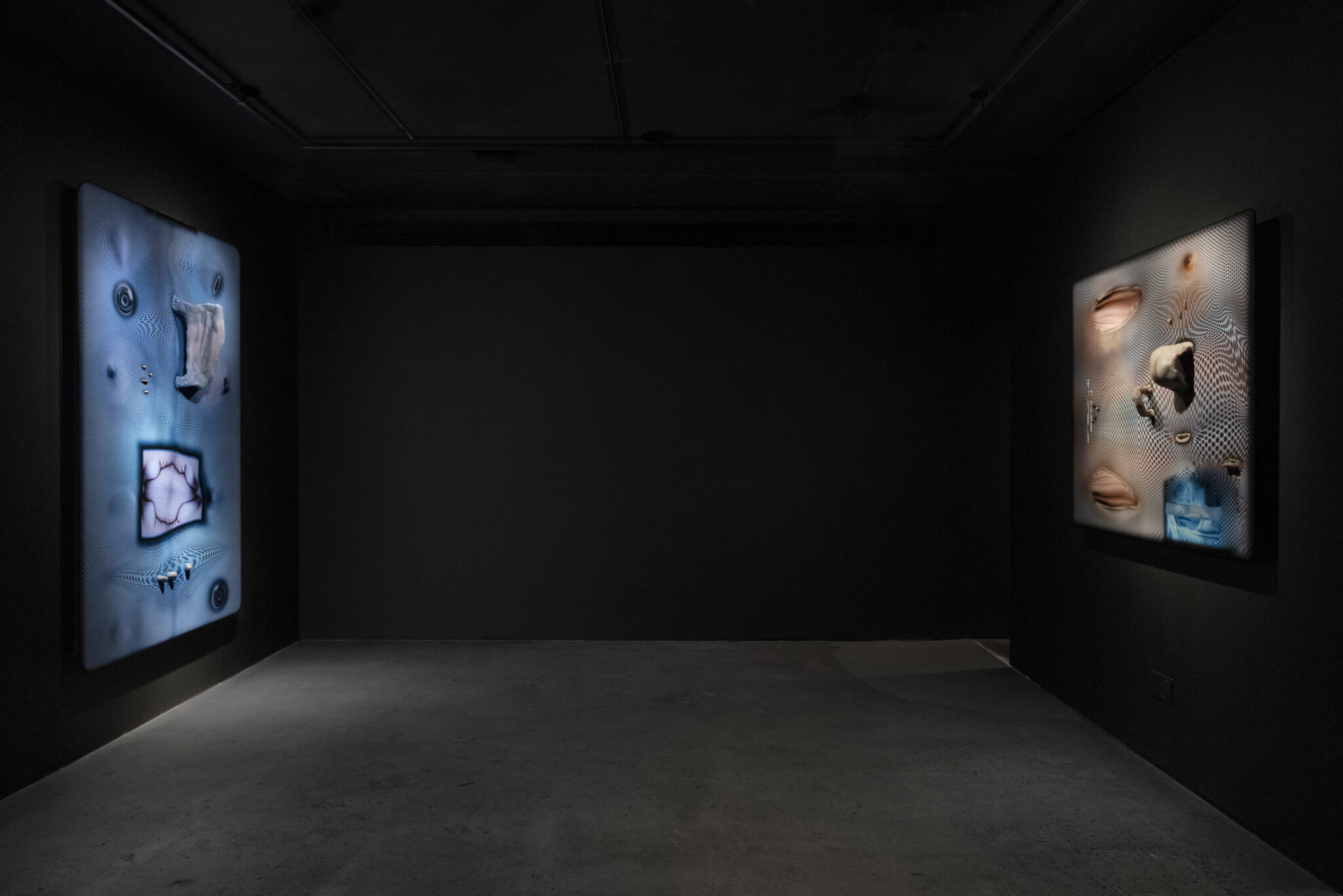 Tishan Hsu at Empty Gallery – Art Viewer