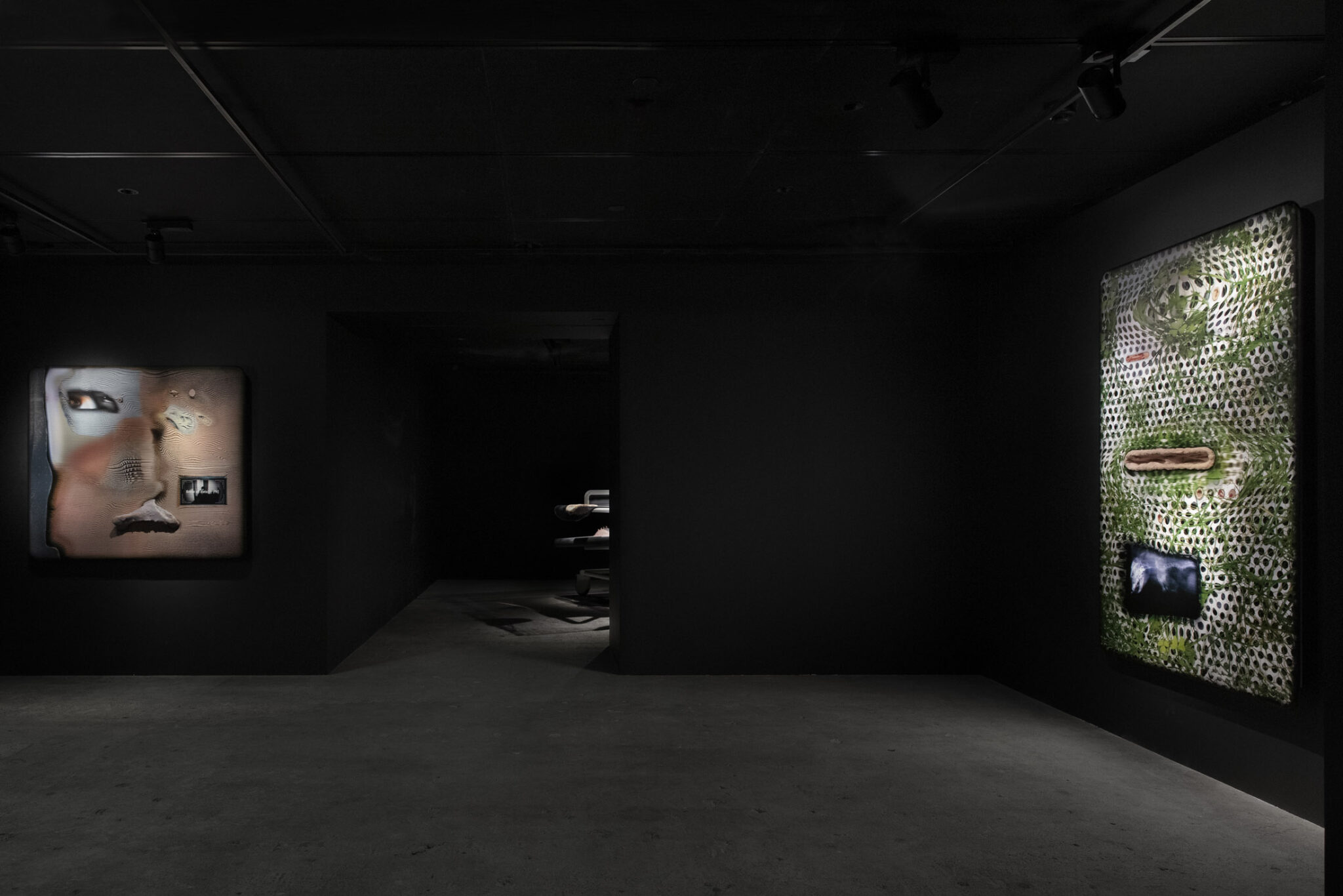 Tishan Hsu at Empty Gallery – Art Viewer