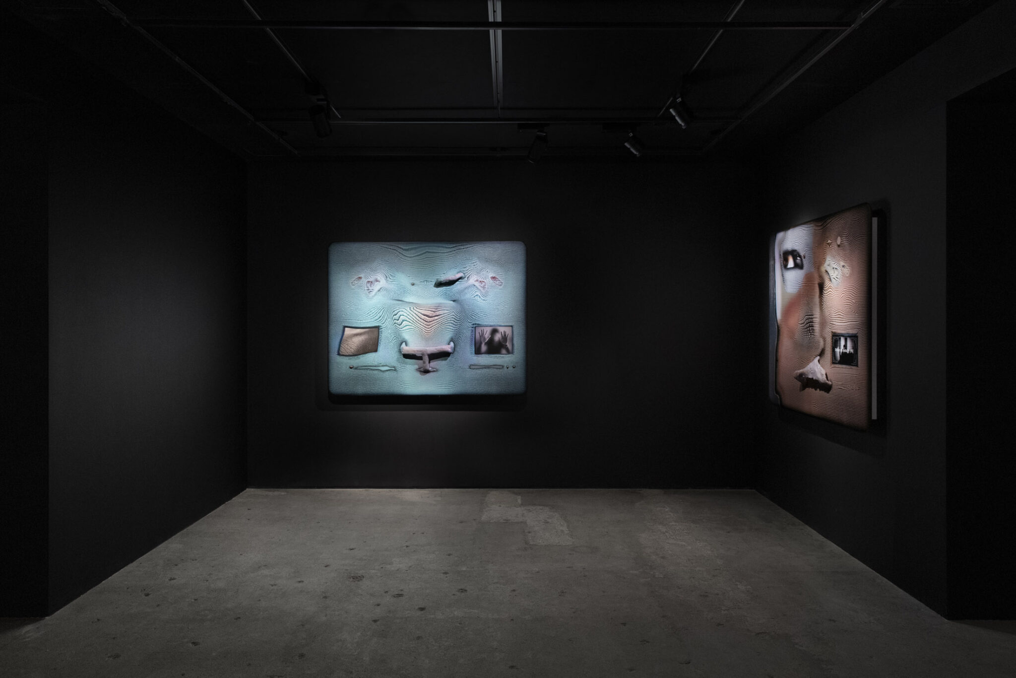 Tishan Hsu at Empty Gallery – Art Viewer