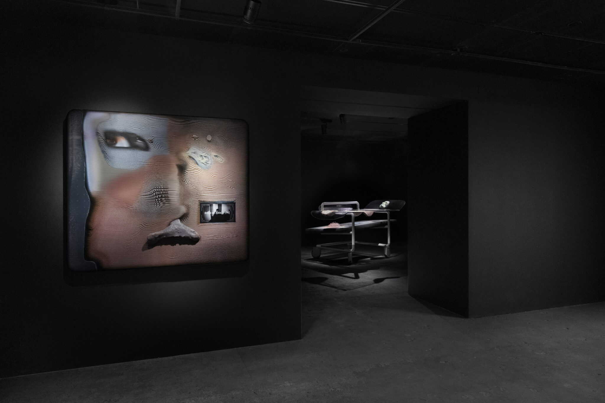 Tishan Hsu at Empty Gallery – Art Viewer