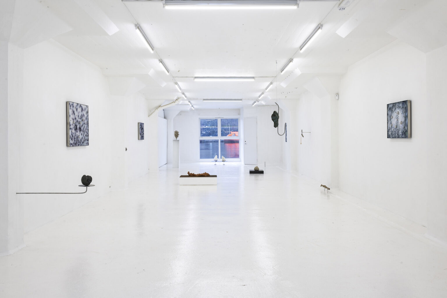 non-human-matters at Aldea Gallery – Art Viewer