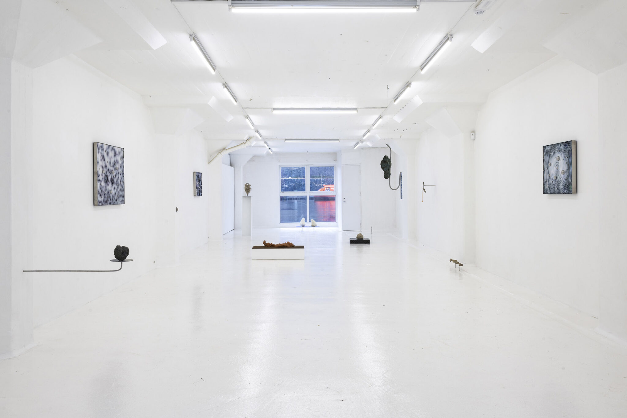 non-human-matters at Aldea Gallery – Art Viewer