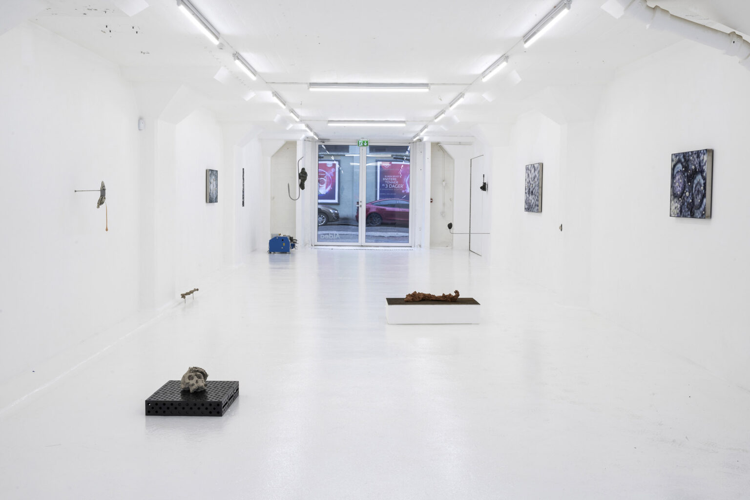 non-human-matters at Aldea Gallery – Art Viewer