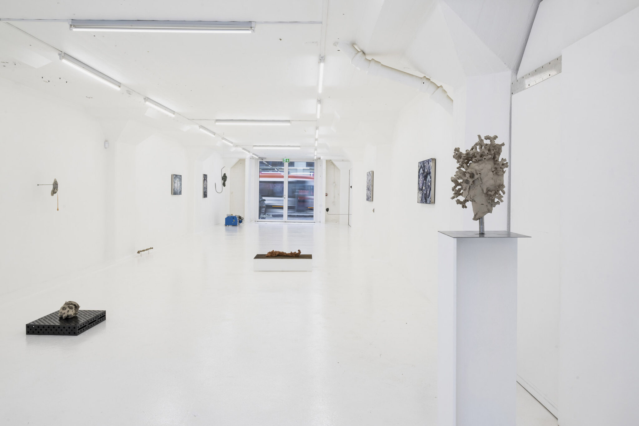 non-human-matters at Aldea Gallery – Art Viewer