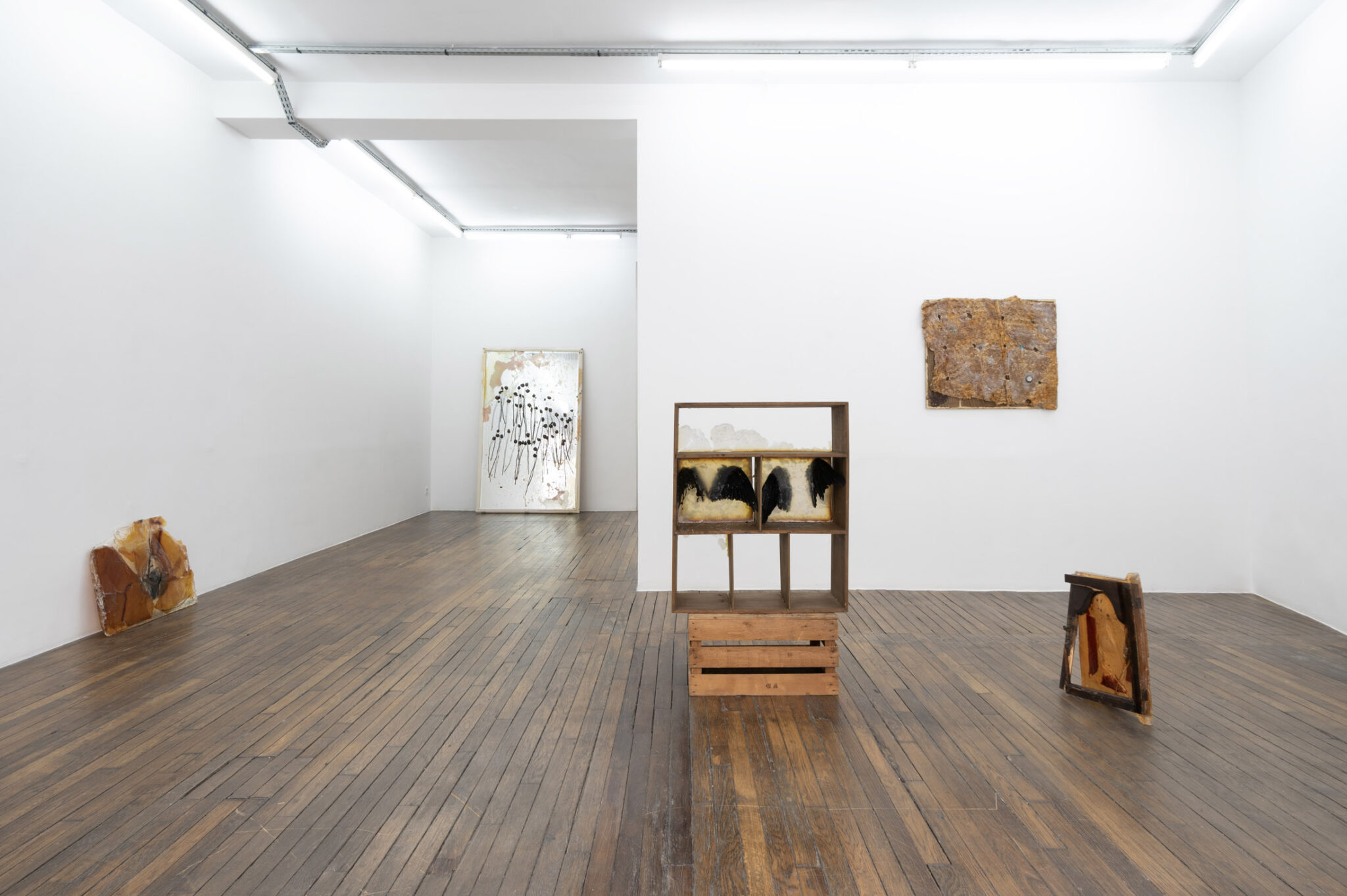 Bri Williams at Dvir Gallery – Art Viewer