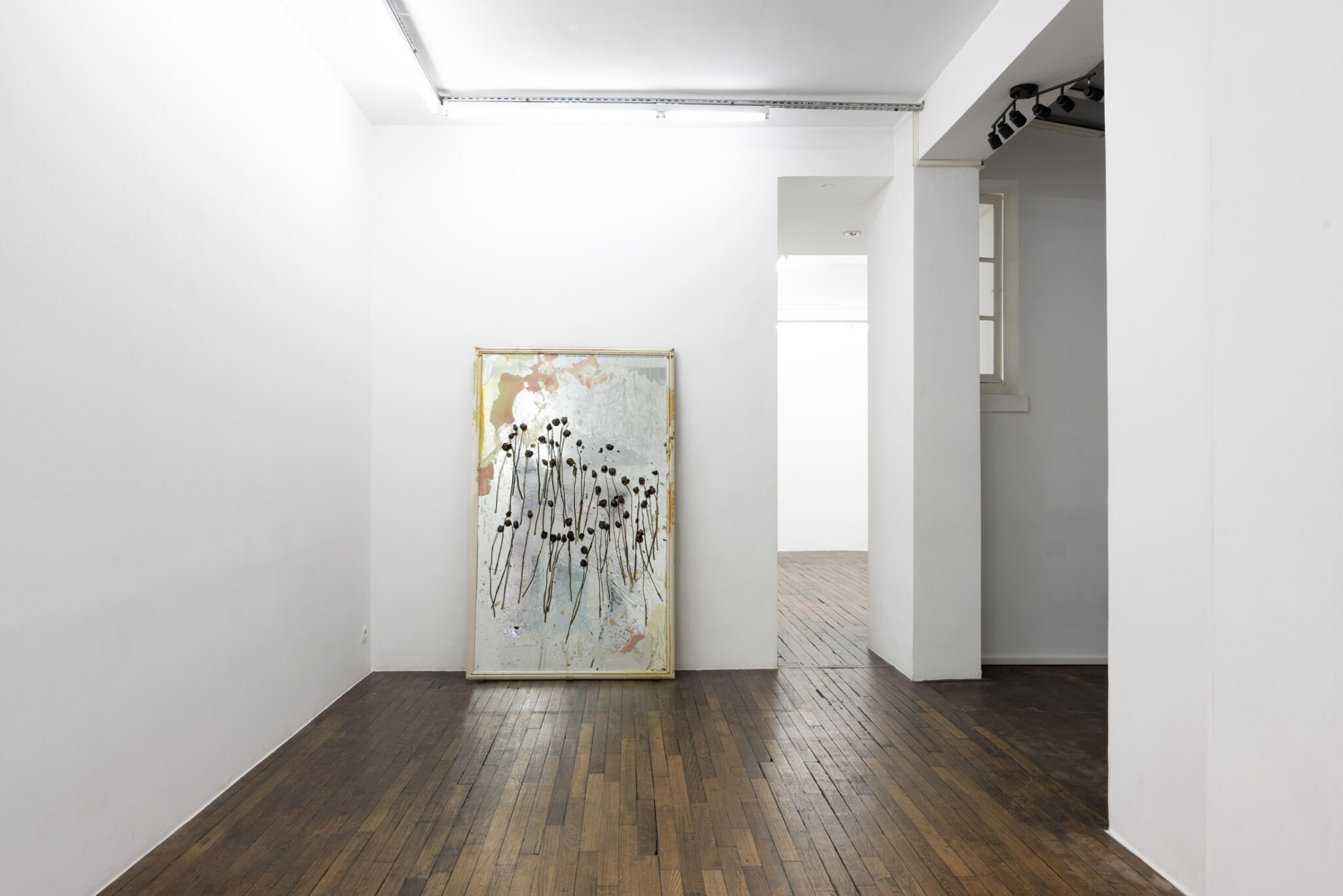 Bri Williams at Dvir Gallery – Art Viewer