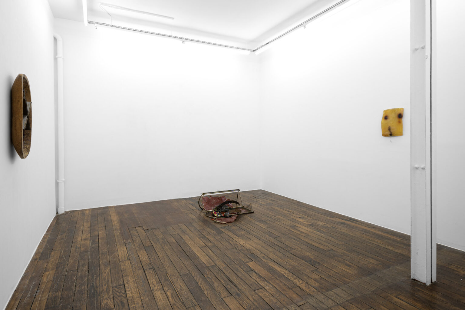 Bri Williams at Dvir Gallery – Art Viewer