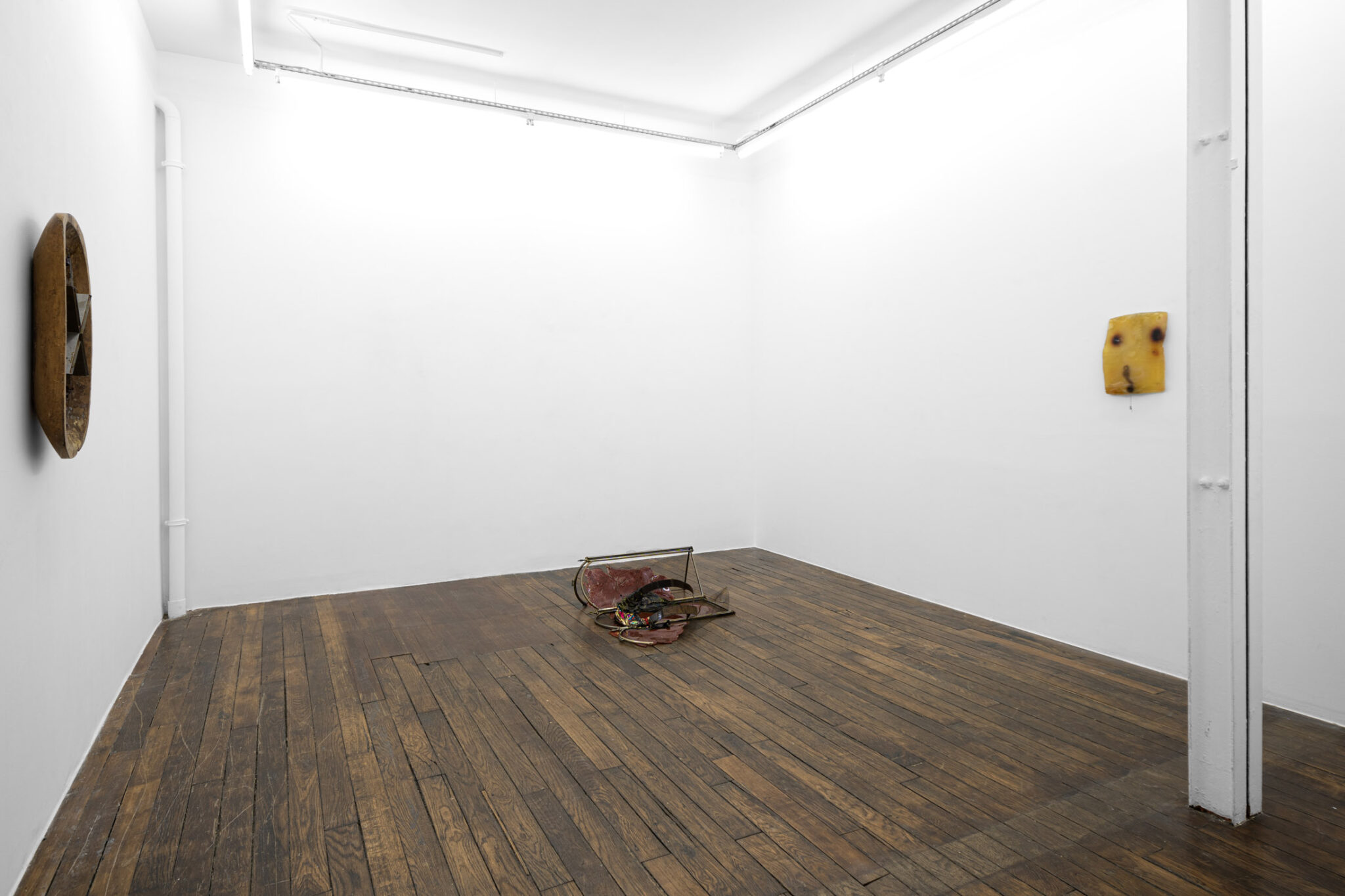 Bri Williams at Dvir Gallery – Art Viewer