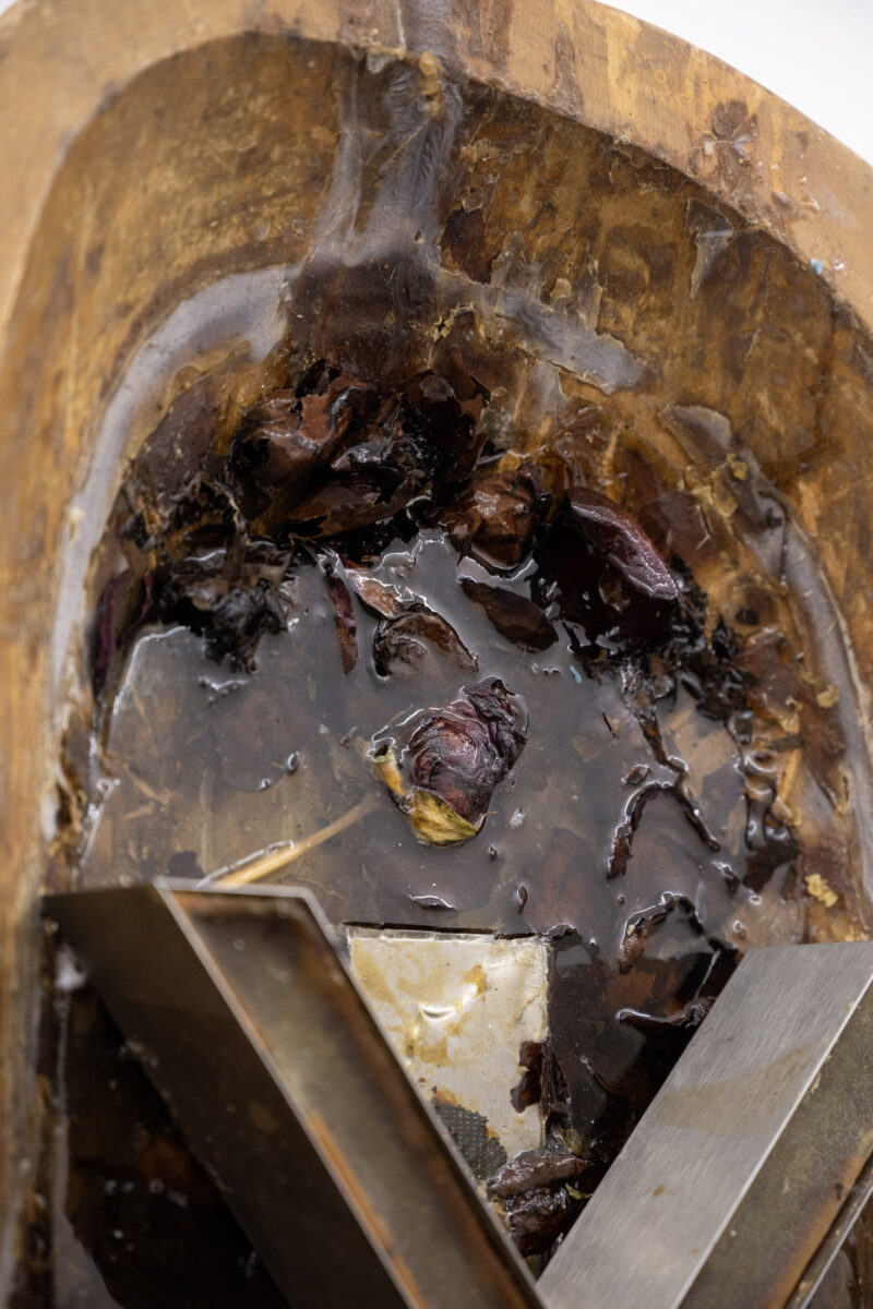 Bri Williams at Dvir Gallery – Art Viewer