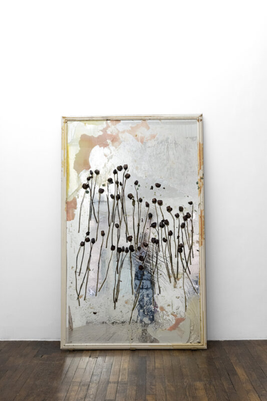 Bri Williams at Dvir Gallery – Art Viewer