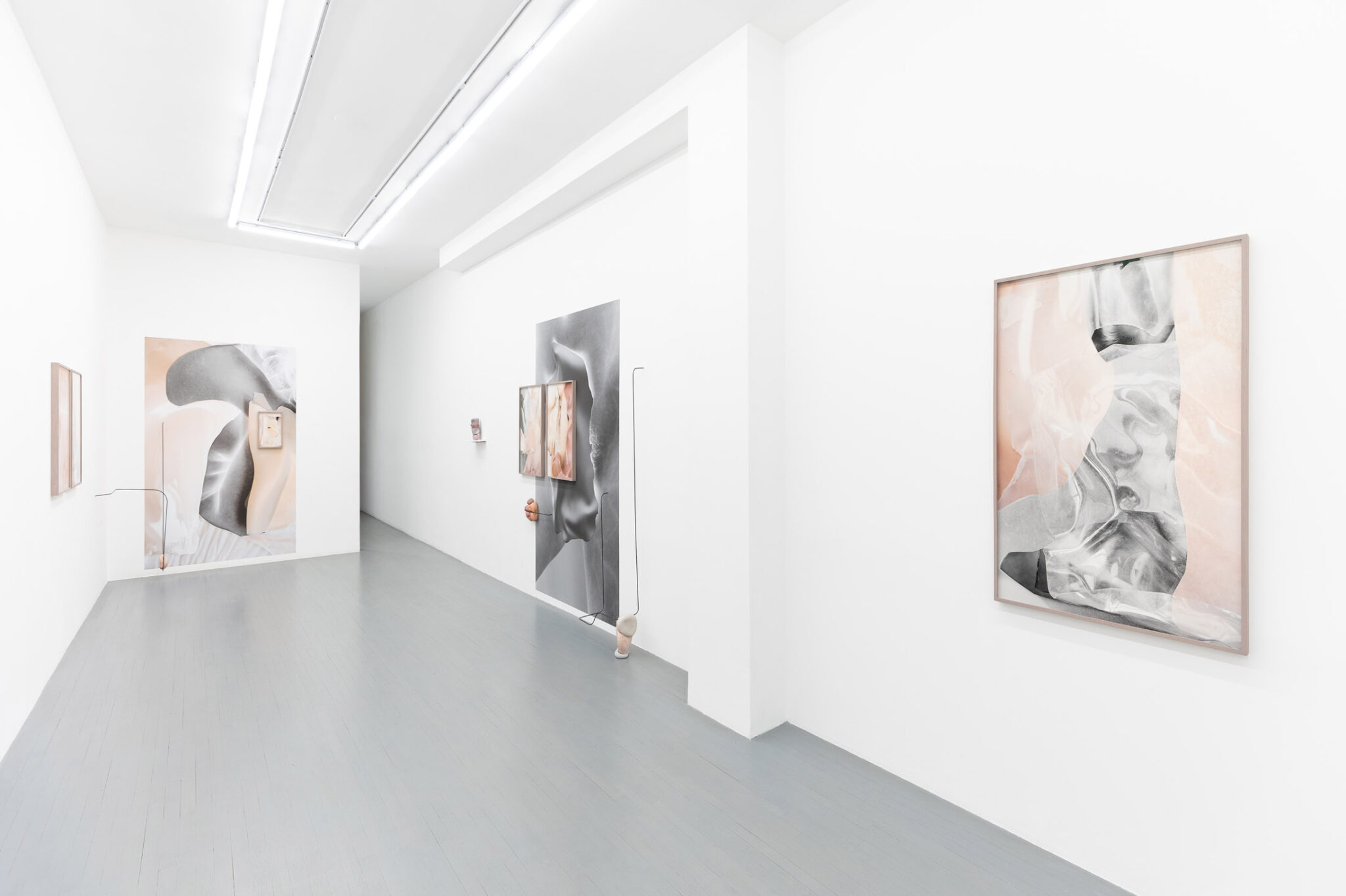 Caroline Mauxion at Zalucky Contemporary – Art Viewer