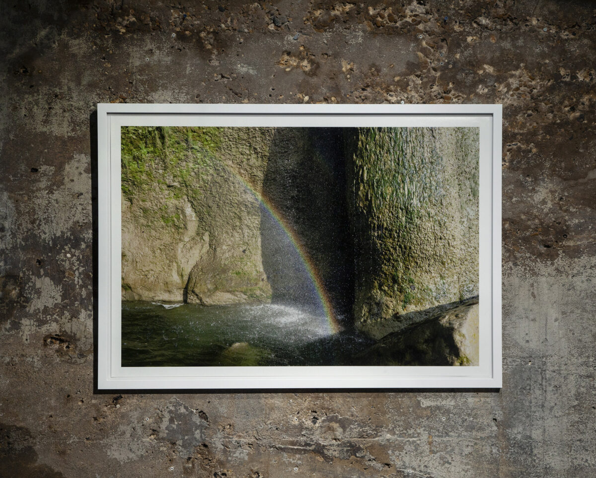 Dan Torop at Tops Gallery – Art Viewer